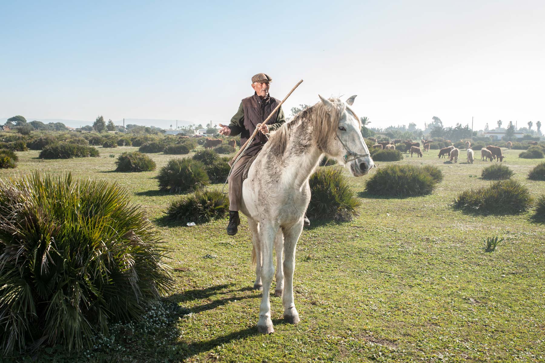 Spanish Gaucho - Sebastian Weimar Fotograf Kiel
